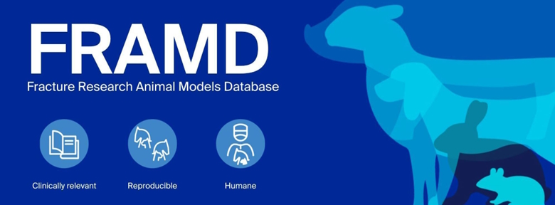 The Fracture Research Animal Models Database – Solutions-LC.com